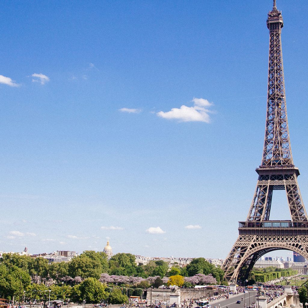 Home - Trippersaurus