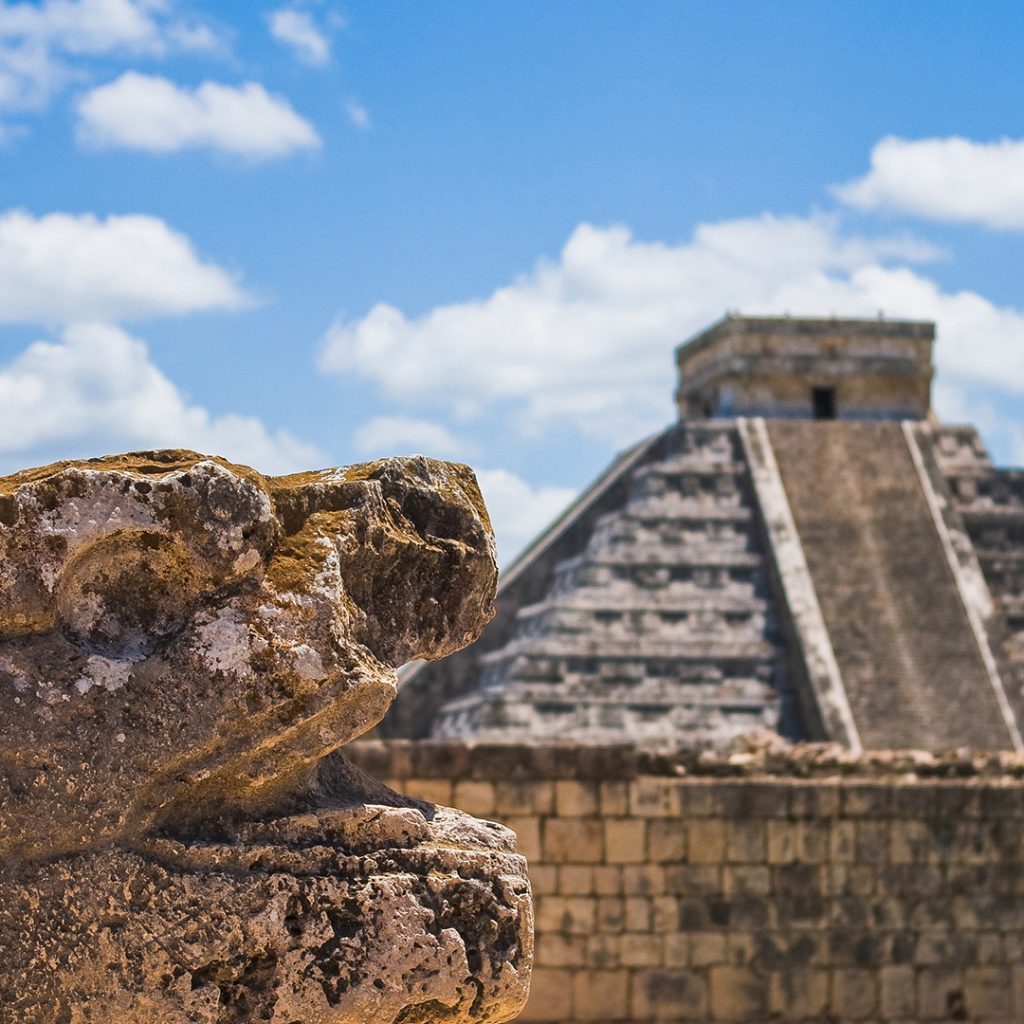 Home - Trippersaurus