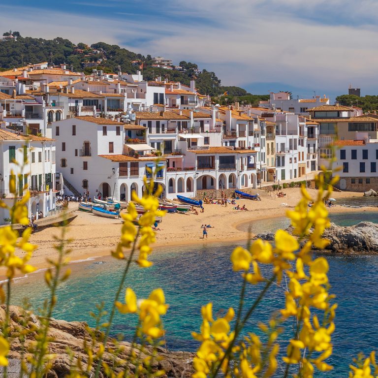 Home - Trippersaurus